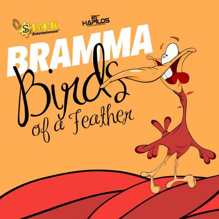 BRAMMA - BIRDS OF A FEATHER [MAIN & ACOUSTIC MIX] - [RADIO & RAW] - S ...