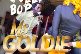 ACEGAWD - RATINGS (EXPLICIT & RADIO) - HAPILOS RECORDS