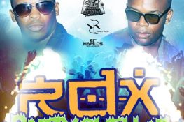 TDA RIDDIM [FULL PROMO] - YOUNG VETERANS MUSIC