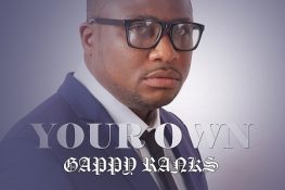 SHAWN STORM - HUSTLING TIME [EXPLICIT & RADIO] - DROP TOP