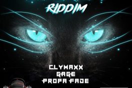CRUSADER RIDDIM (FULL PROMO) - KWASHAWNA RECORDS