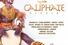 SIMPLE TING RIDDIM [FULL PROMO] - NICETIME PRODUCTIONS