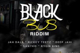 SIMPLE TING RIDDIM [FULL PROMO] - NICETIME PRODUCTIONS