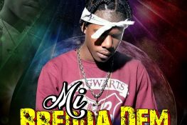 SKILLIBENG - BRIK PON BRICK [RAW+CLEAN+MUSICVIDEO]