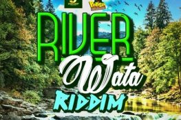 STEPHEN MARLEY FT BUSY SIGNAL - YOU AND ME ATTRACT - REVELATION PT 2