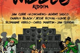 COLLE BUDDZ - BRIGHTER DAYS - HARPER DIGITAL