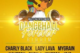 TOMMY LEE SPARTA - BLACK BIRD - DROPTOP RECORDS