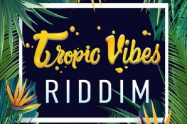 DANCEHALL ZONE RIDDIM [FULL PROMO] - TJ RECORDS