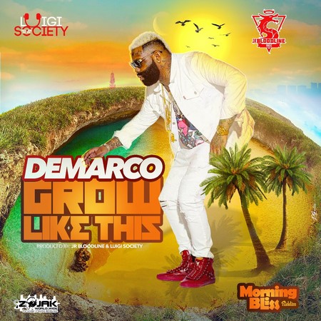 DEMARCO - GROW LIKE THIS - MORNING BLISS RIDDIM