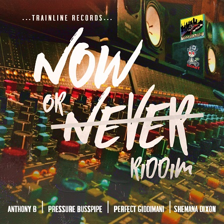 NOW OR NEVER RIDDIM [FULL PROMO] - TRAINLINE RECORDS