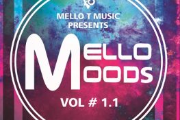 111 BULLETS - TOO HOT - DANCEHALL MIXTAPE