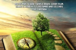 TDA RIDDIM [FULL PROMO] - YOUNG VETERANS MUSIC