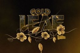 BOOM BOX RIDDIM (FULL PROMO) - NOTNICE RECORDS