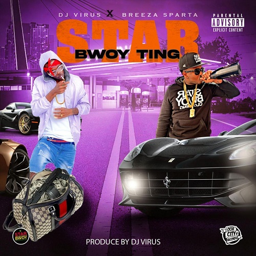 DJ VIRUS x BREEZA SPARTA - STAR BWOY TING - OCHI CITY REC