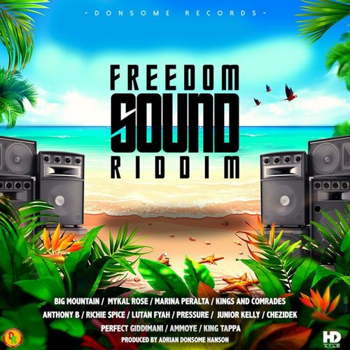 FREEDOM SOUND RIDDIM (FULL PROMO) - DONSOME RECORDS