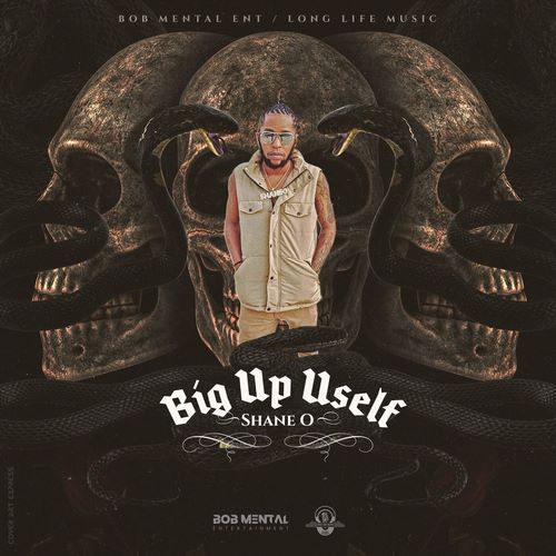 SHANE O - BIG UP USELF (AUDIO & MUSIC VIDEO)