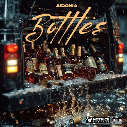 AIDONIA - BOTTLES - STREET VYBZ RIDDIM 2.0 - NOTNICE