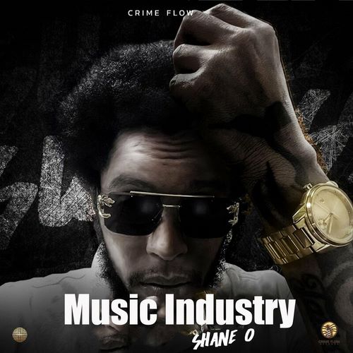 SHANE O - MUSIC INDUSTRY (AUDIO & MUSIC VIDEO)