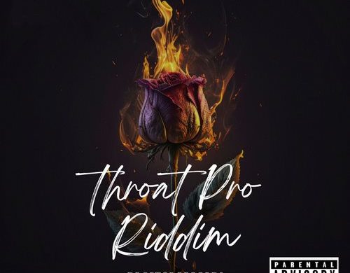 Homepage [dancehallarena.com]