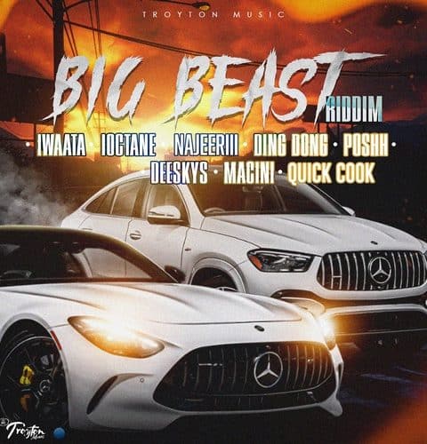 Homepage [dancehallarena.com]