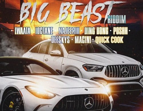 VALIANT - PASSENGER PRINCESS - STORY BOOK RIDDIM