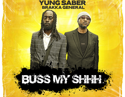 VALIANT - PASSENGER PRINCESS - STORY BOOK RIDDIM