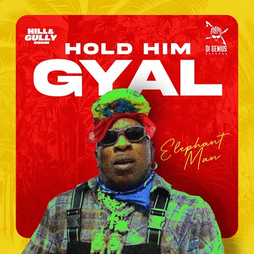 ELEPHANT MAN - HOLD HIM GYAL (AUDIO & MUSIC VIDEO)